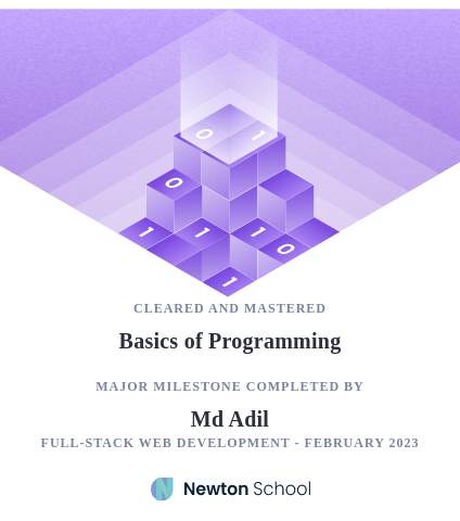 "Md Adil successfully cleared the Basics of Programming module | Feed | Newton School"