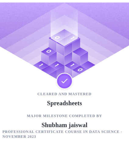 Shubham jaiswal successfully cleared the Spreadsheets module | Feed | Newton School